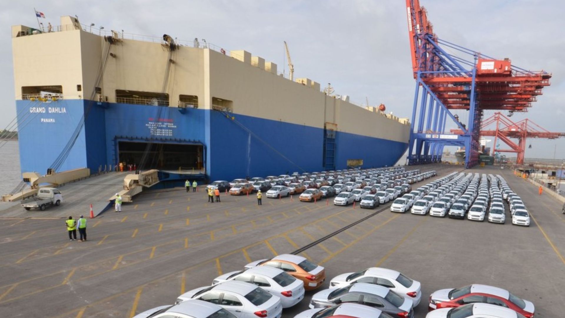 Exploring RoRo Shipping: A Cost-Effective Solution for Vehicle Transport